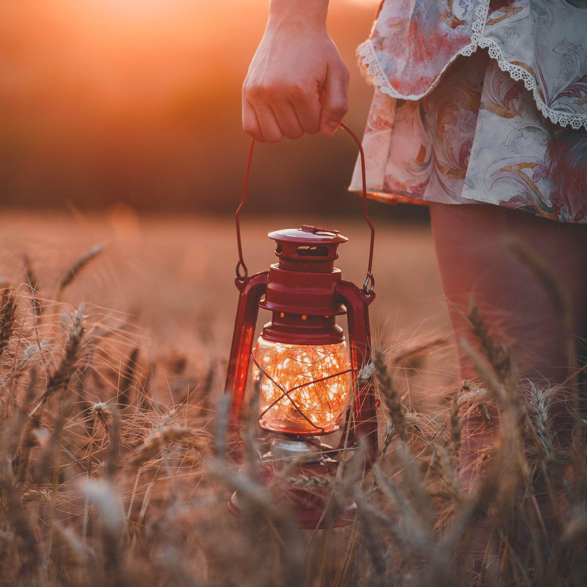 Best Low-Light Photography Tips to Take Great Pictures Without a Flash