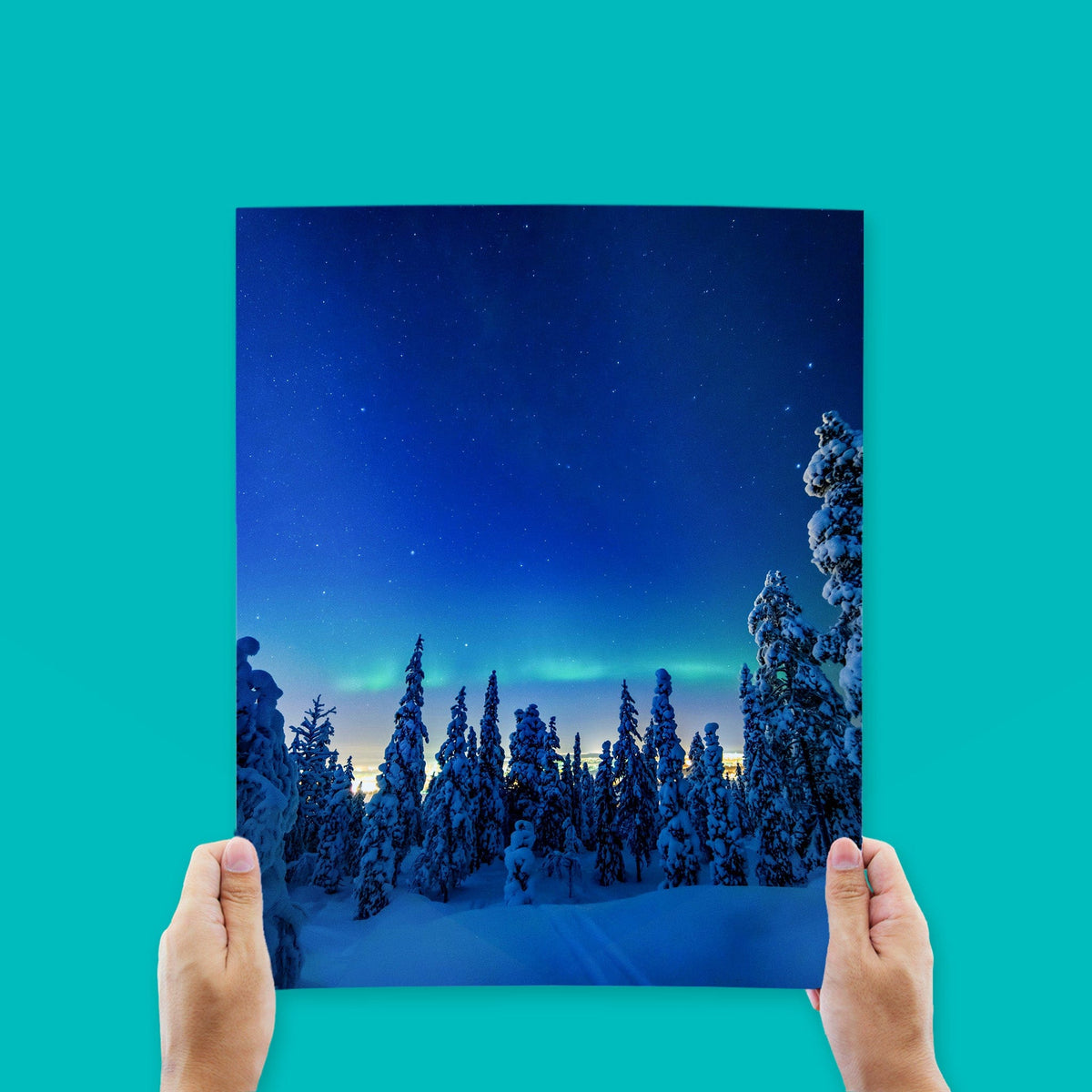 Large Glossy Photo Prints by Posterjack Canada