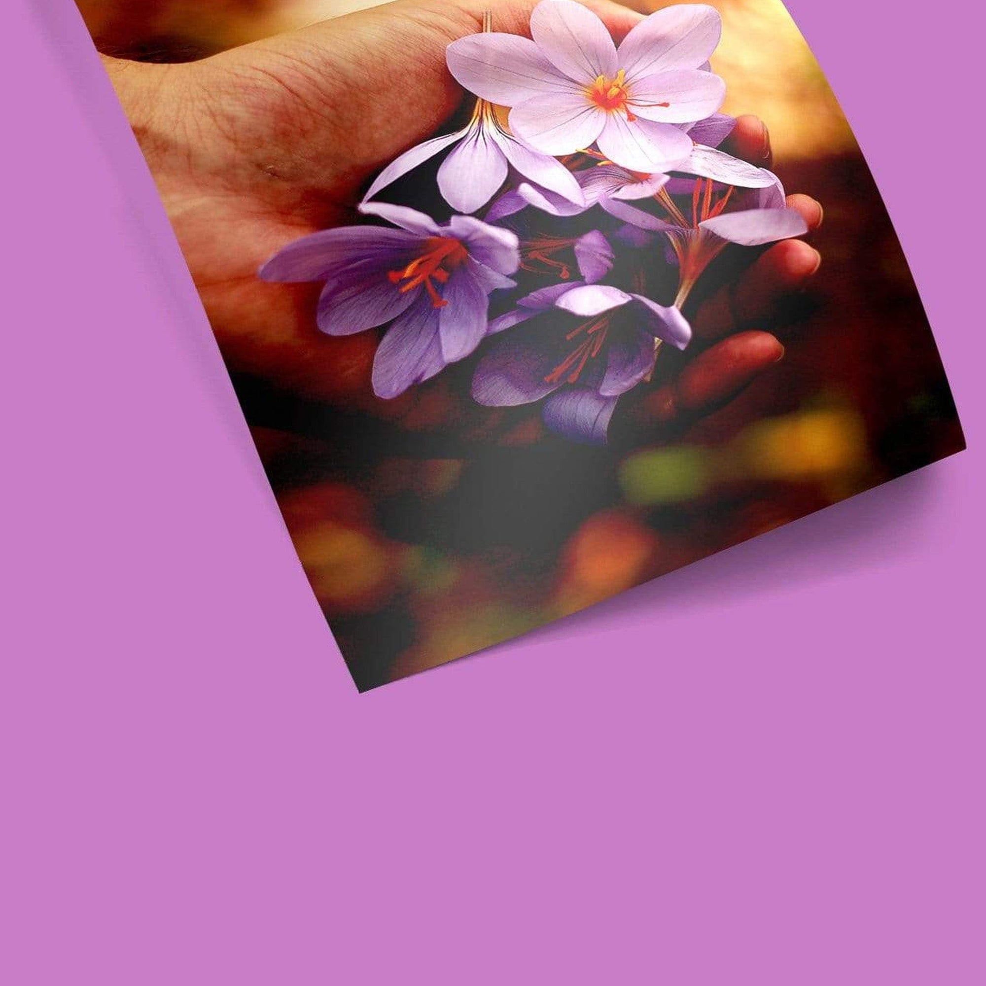 Large Glossy Photo Prints by Posterjack Canada