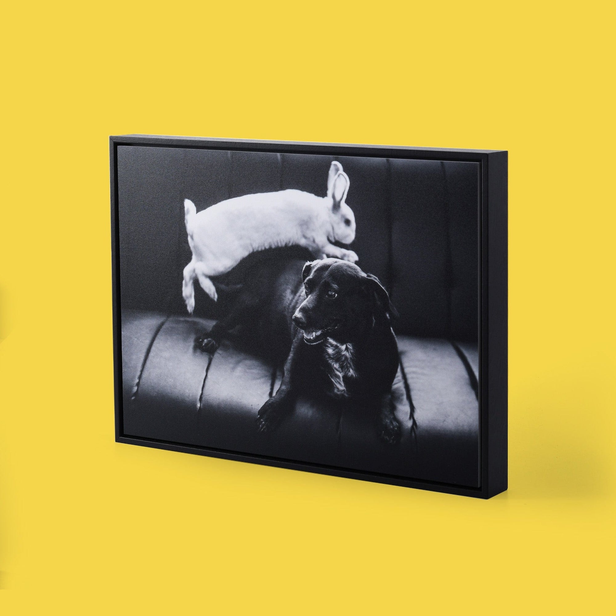 Gallery Boxes by Posterjack | Floating Frames Canada