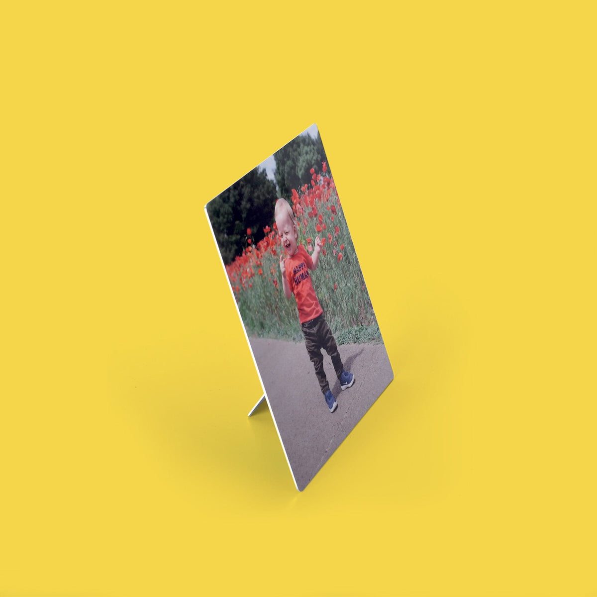 Mini Metal Prints by Posterjack | Small Metal Prints