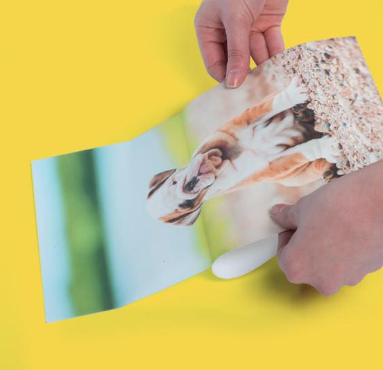 Browse our Photo Print Products – Posterjack